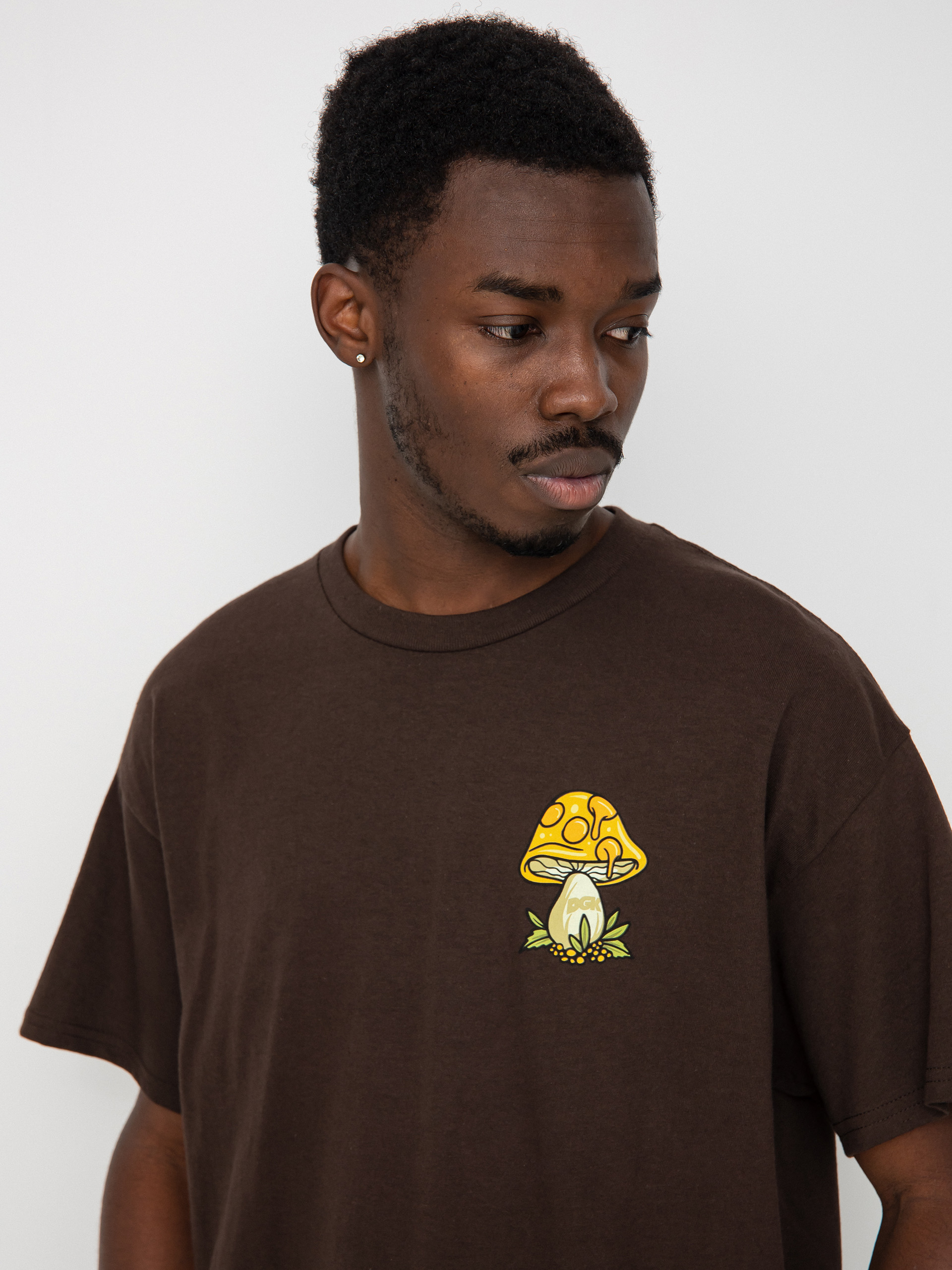 Tričko DGK Low Drip (dark chocolate)