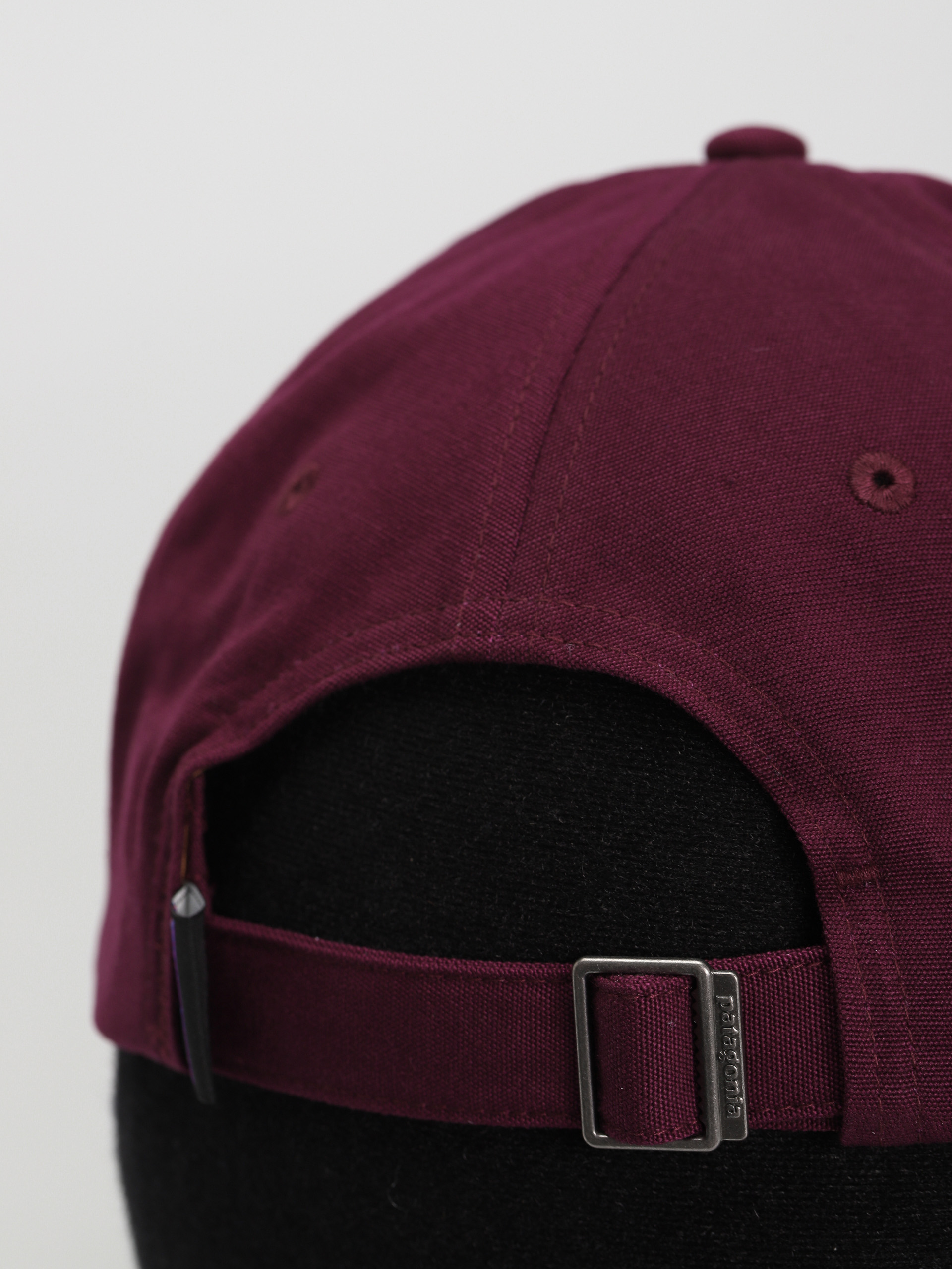 Kšiltovka Patagonia P 6 Label Trad (night plum)